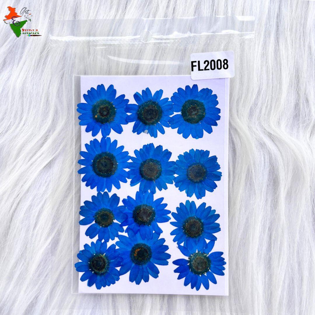 Ink Blue Daisy Pressed Dry Flower For Resin Art – Epoxy Art India